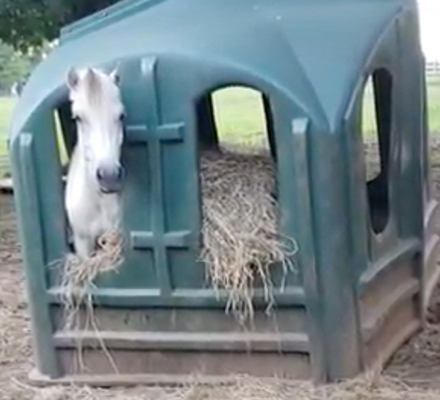 LIVESTOCK EQUIPMENT CANADA